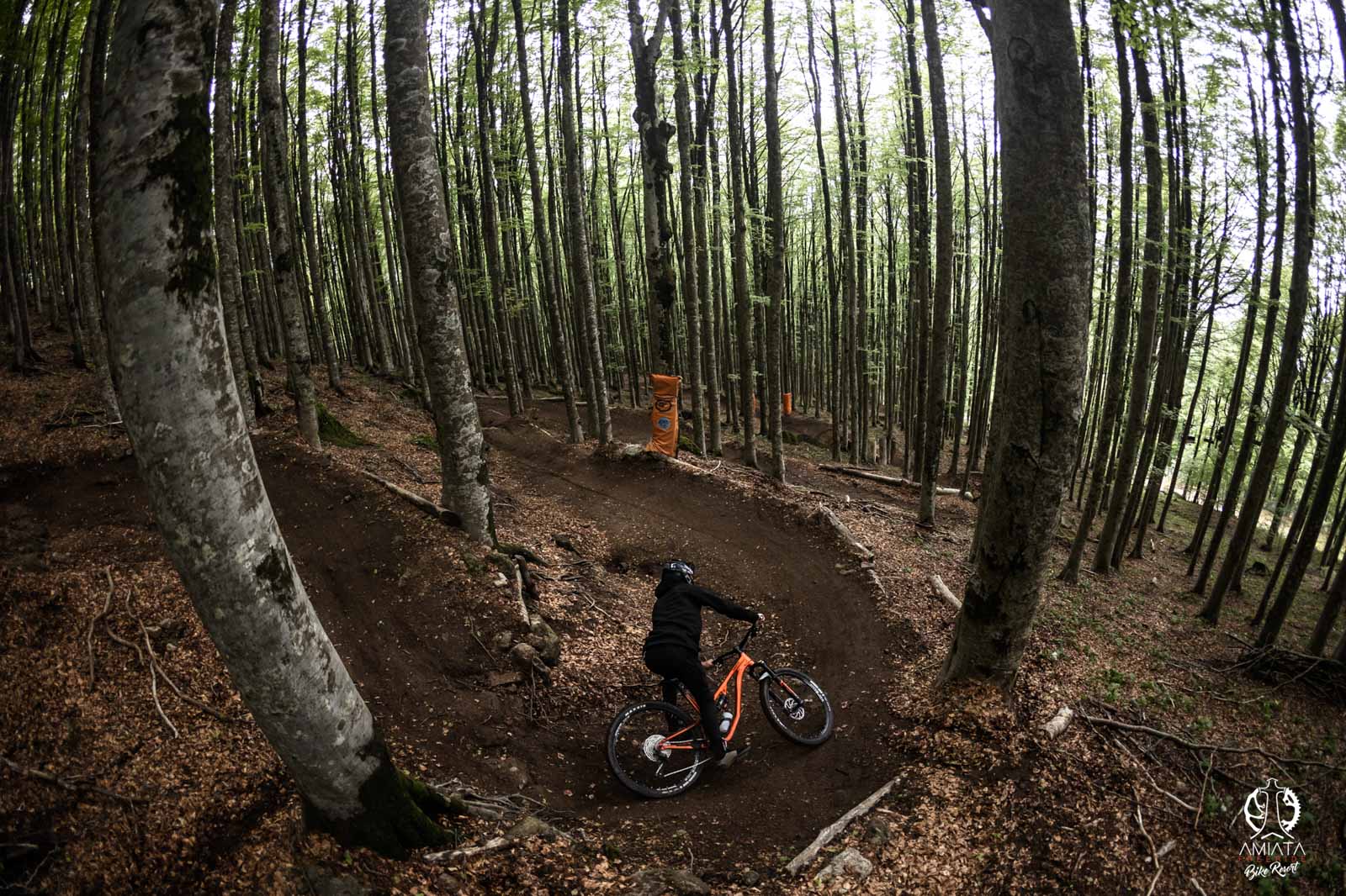 Bike Area – AmiataFreeRideBikeResort.com