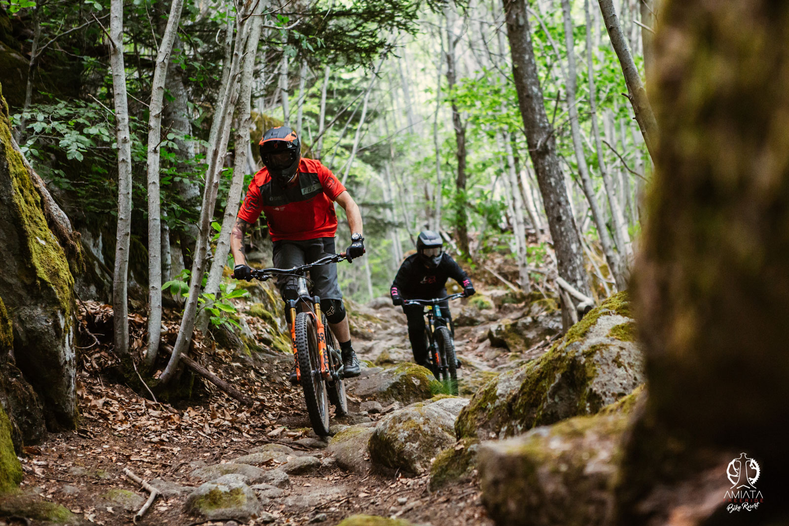 Bike Area – AmiataFreeRideBikeResort.com